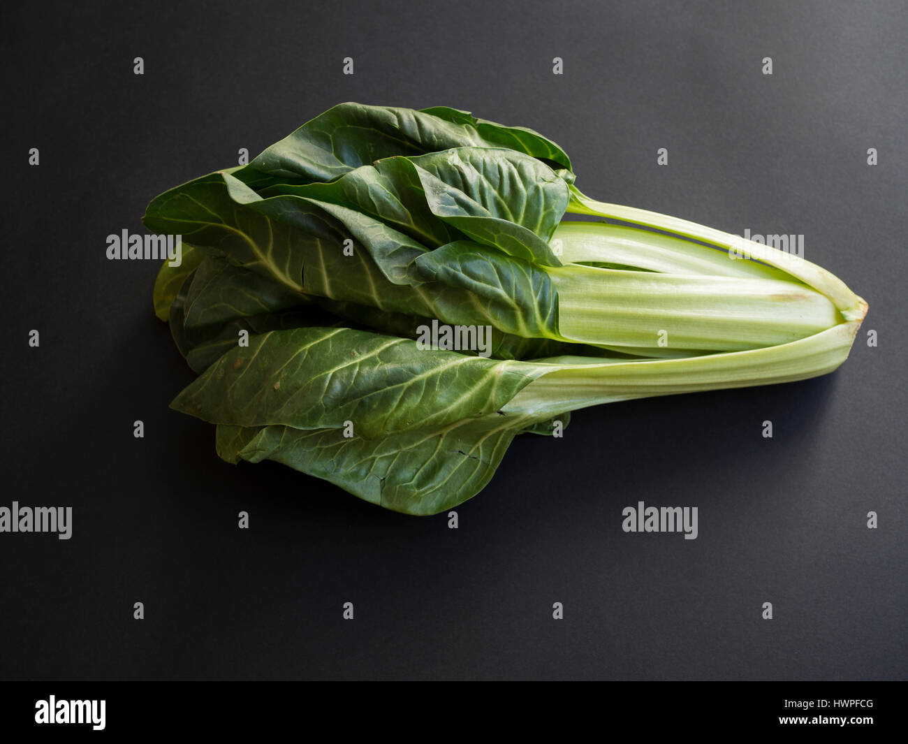 Organic chard isolated on black background Stock Photo - Alamy