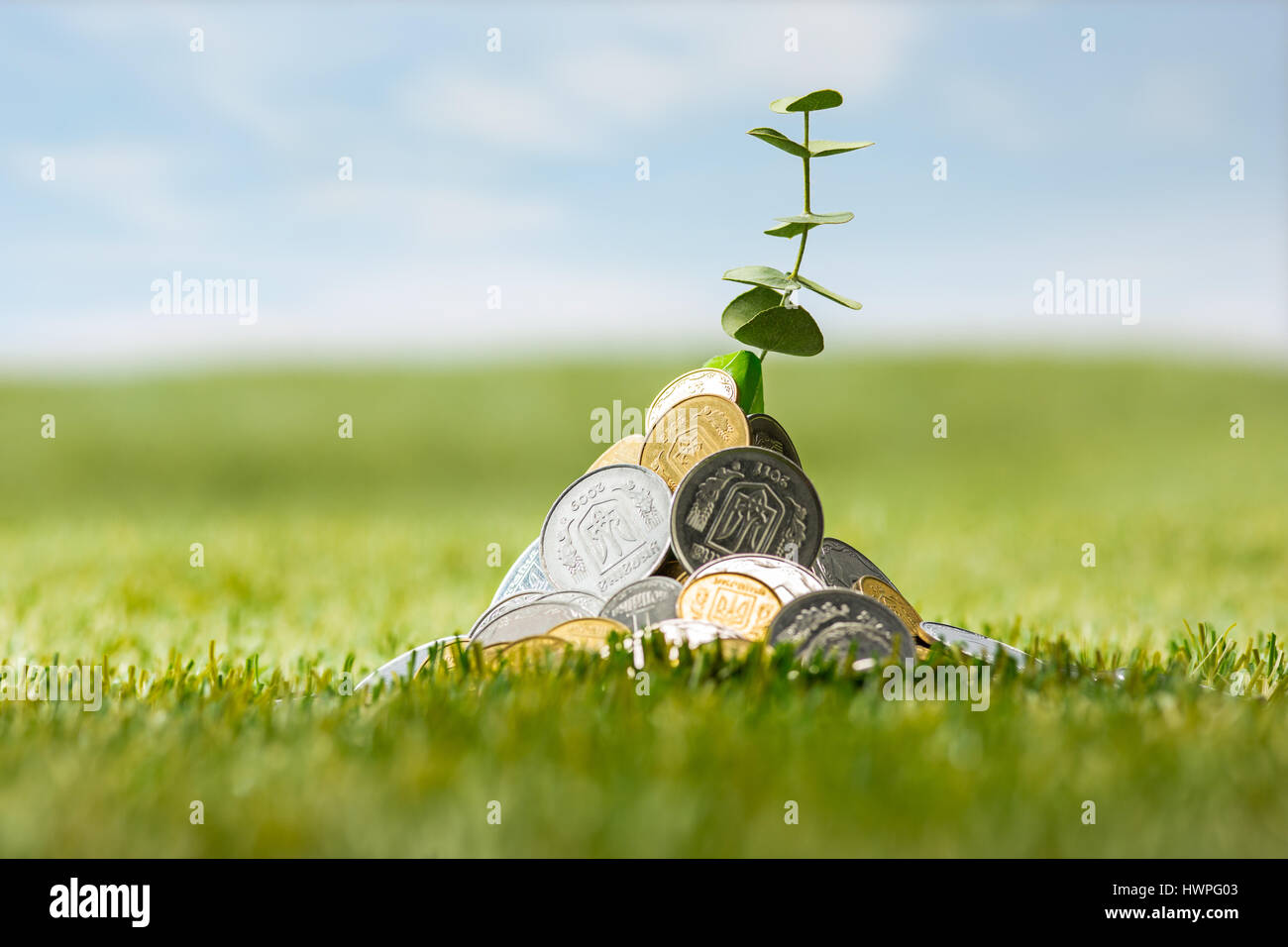 Coin grass hi-res stock photography and images - Alamy