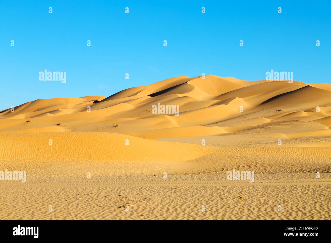 the empty quarter and outdoor sand dune in oman old desert rub al khali ...