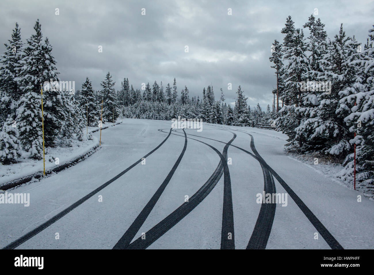 Pattern of trees with sky hi-res stock photography and images - Alamy