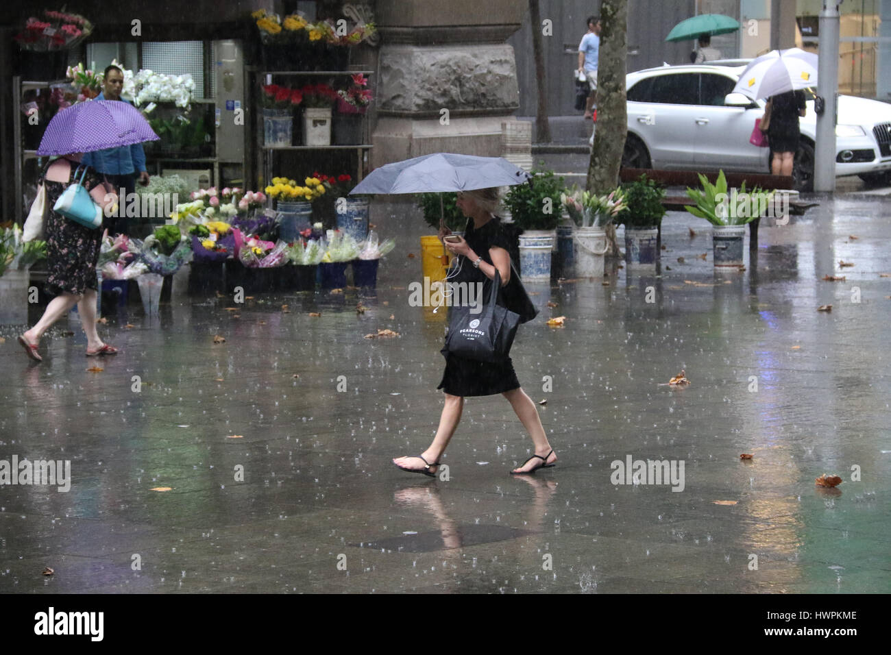 Sydney rain rainy weather hi-res stock photography and images - Alamy