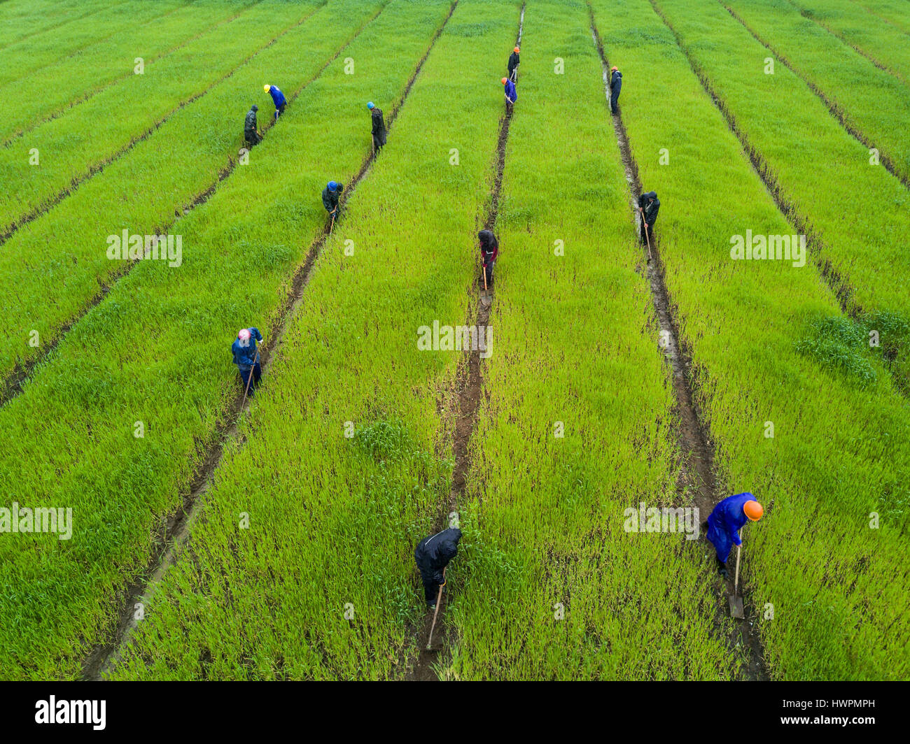 Huzhou chinas zhejiang province 22nd hi-res stock photography and ...