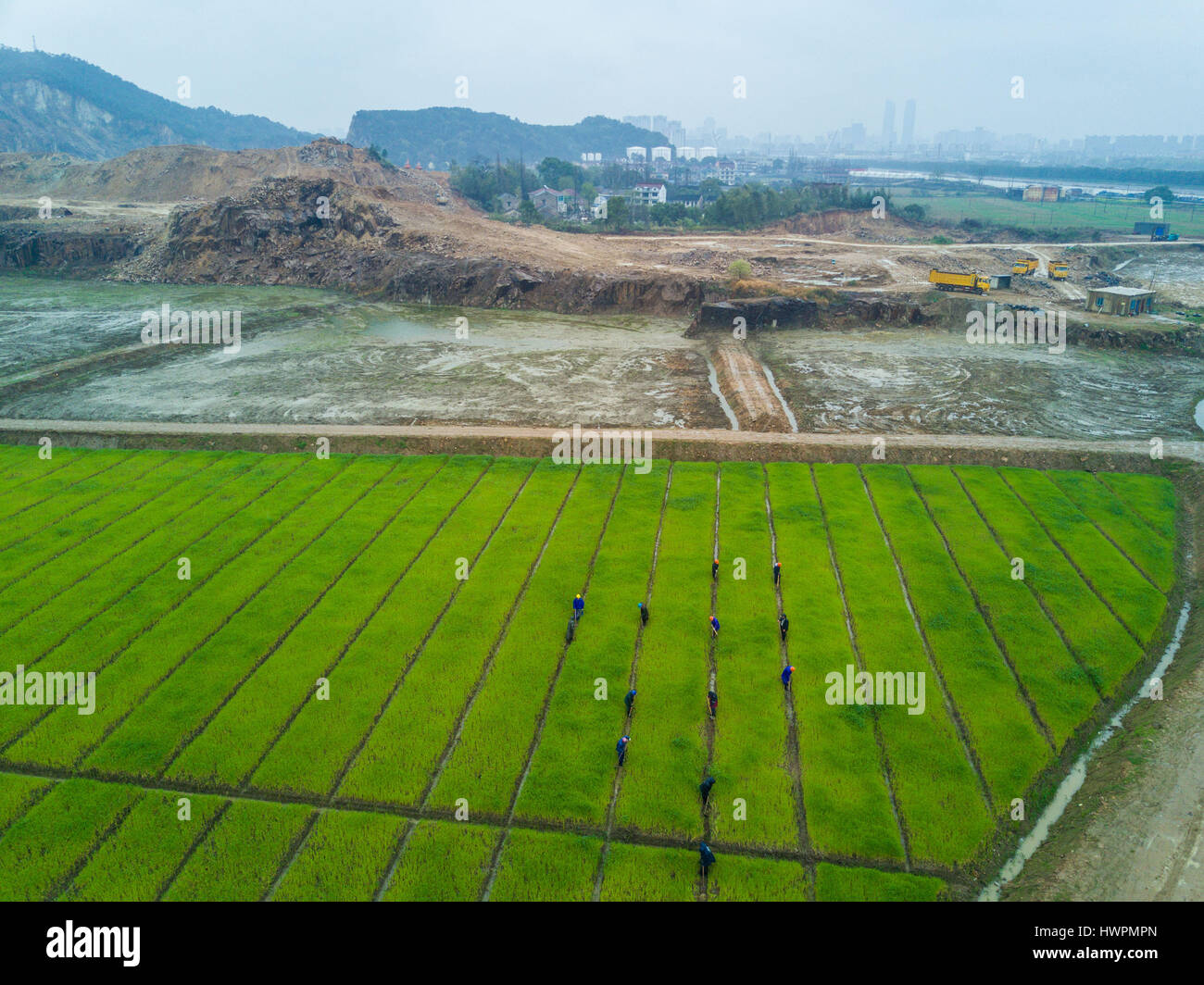Huzhou, China's Zhejiang Province. 22nd Mar, 2017. Farmers clean and ...