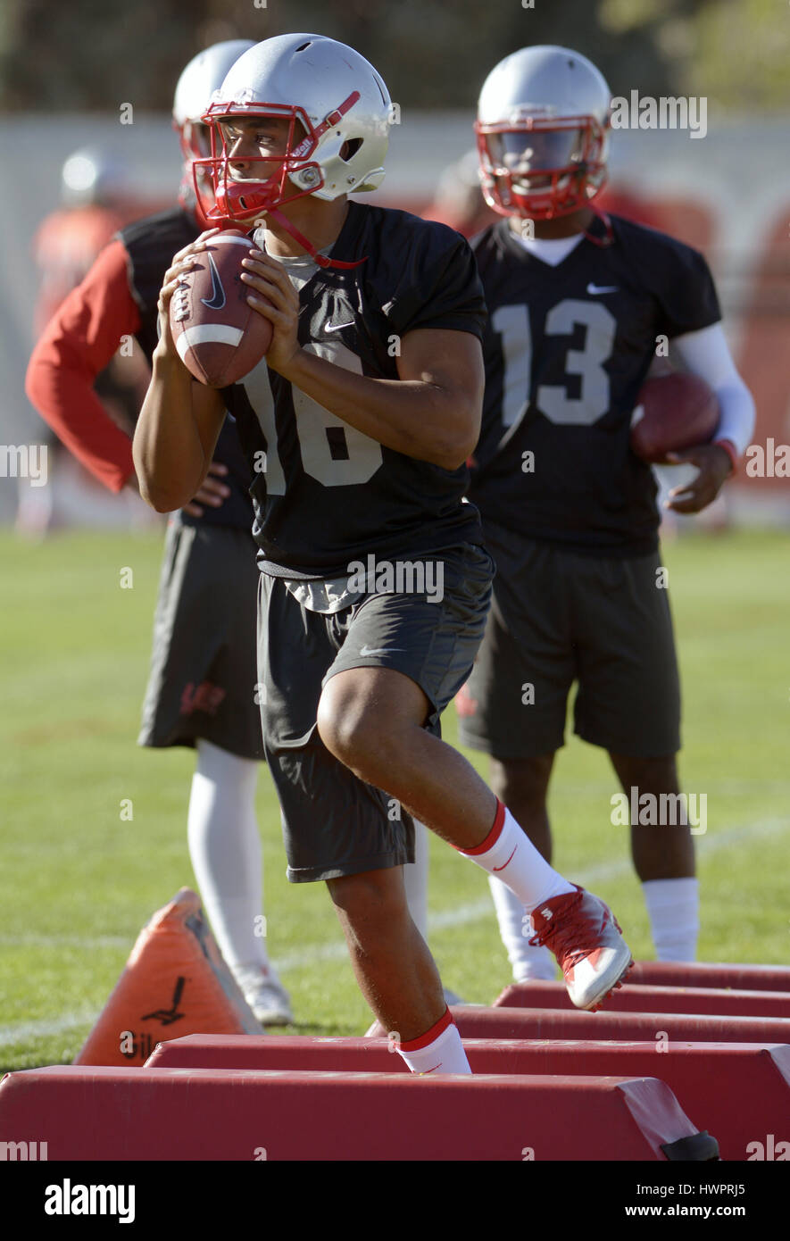 Usa. 22nd Mar, 2017. SPORTS -- UNM quarterback Tevaka Tuioti, 16, runs ...