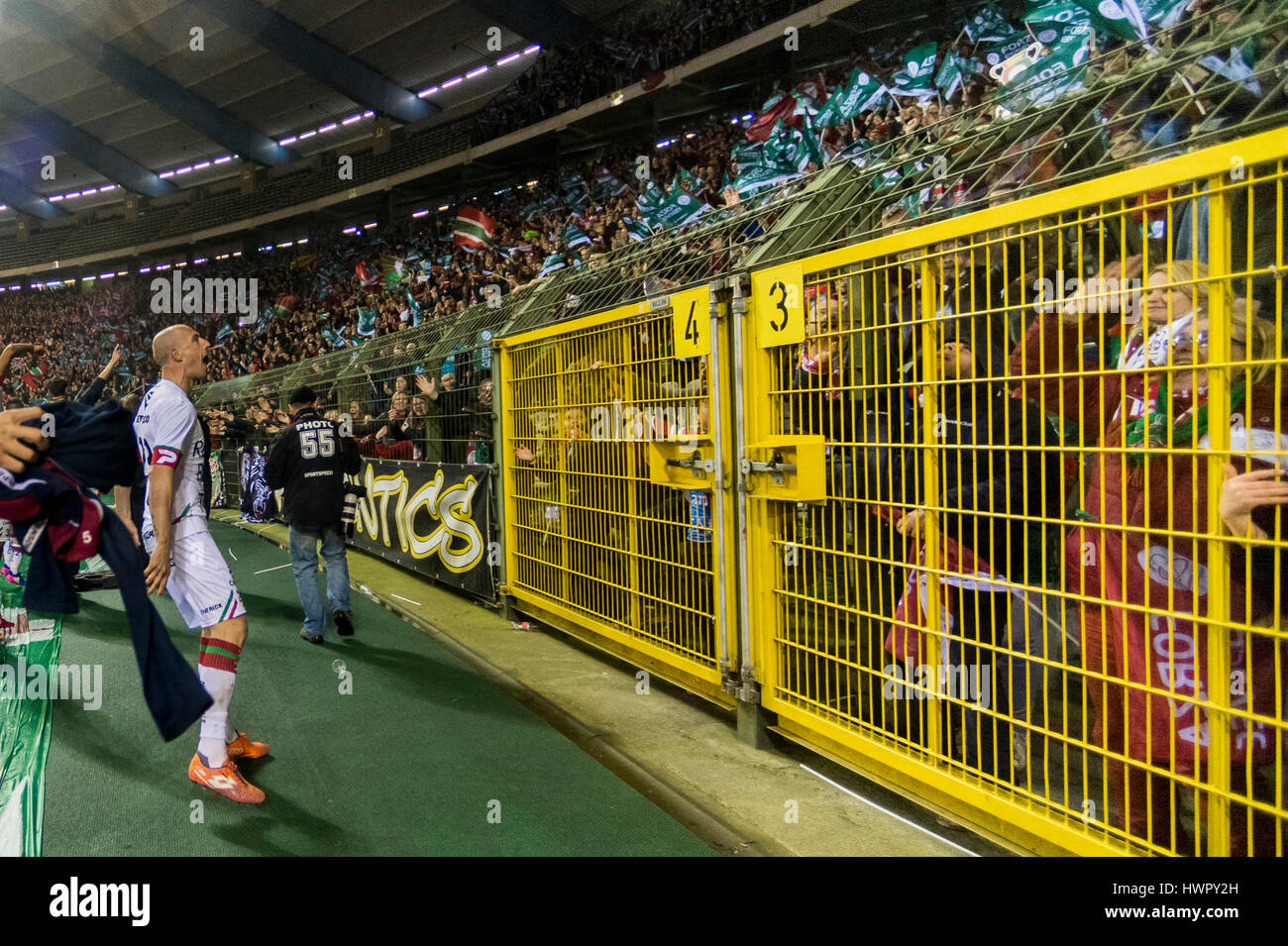 Stadium waregem hi-res stock photography and images - Alamy