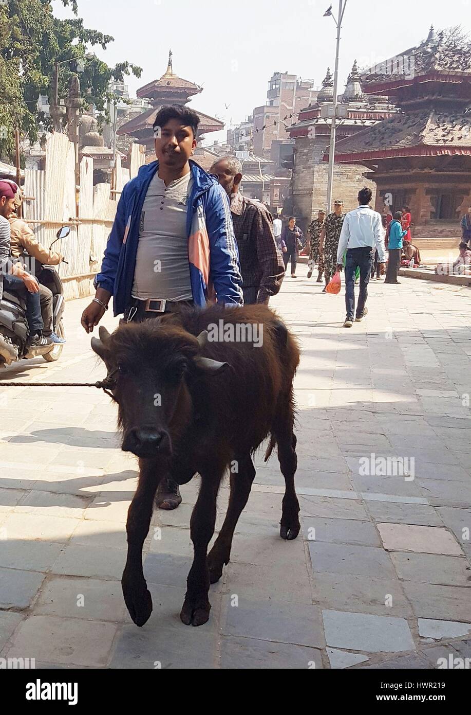 Chaite dashain festival hi-res stock photography and images - Alamy