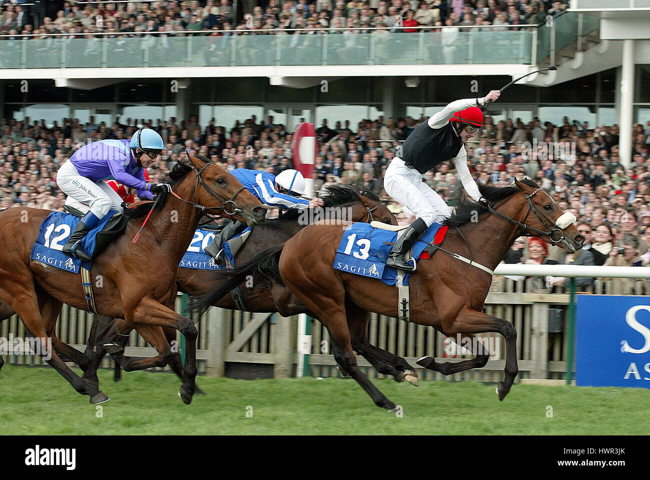 Refuse horse hi-res stock photography and images - Alamy