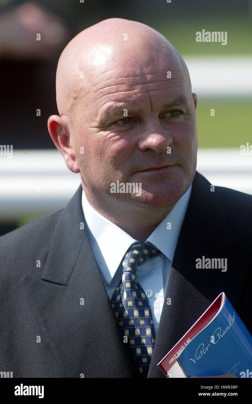 David nicholls horse hi-res stock photography and images - Alamy