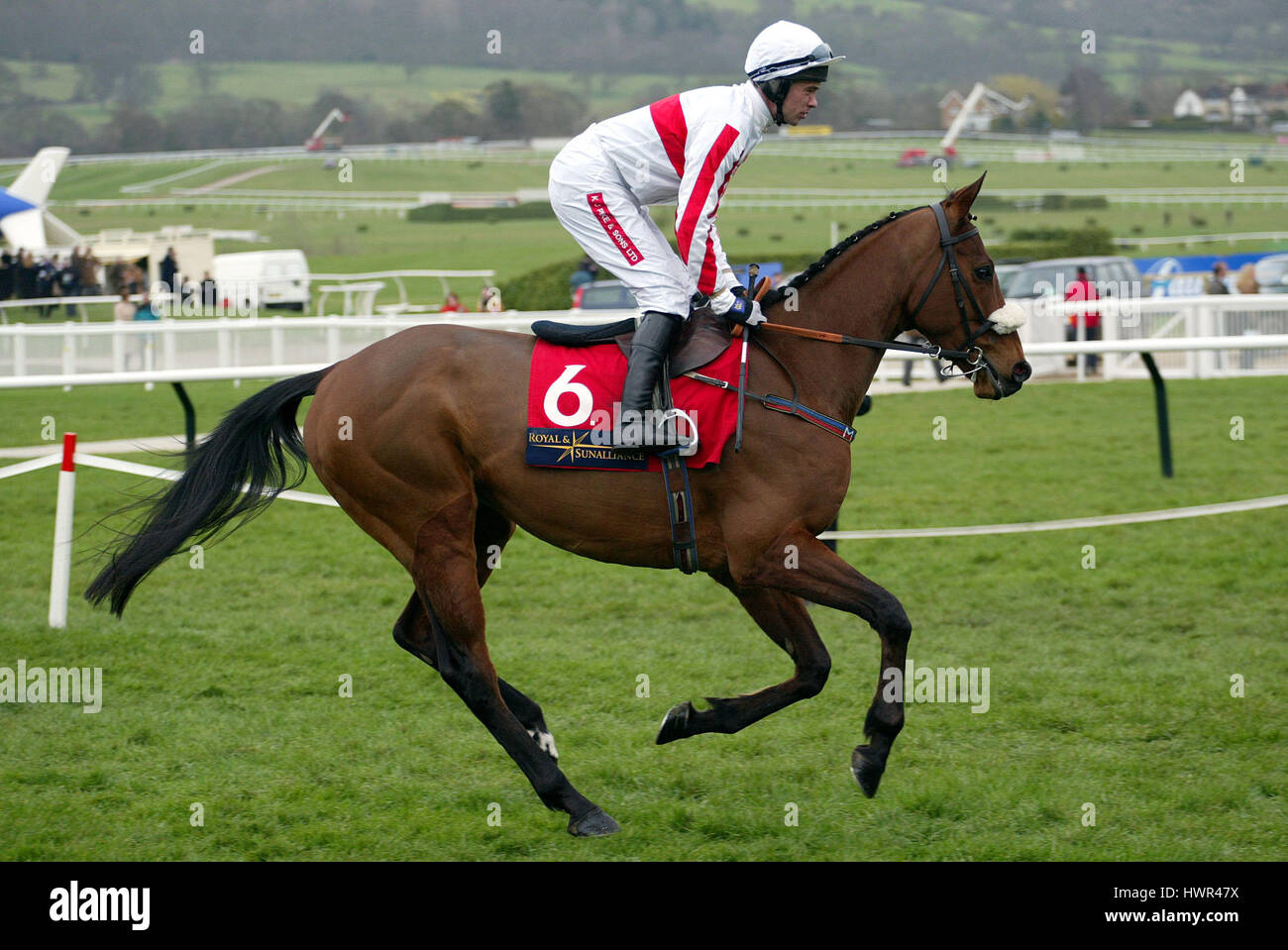 HI CLOY RIDDEN BY T.J.MURPHY CHELTENHAM RACECOURSE CHELTENHAM 12 March ...