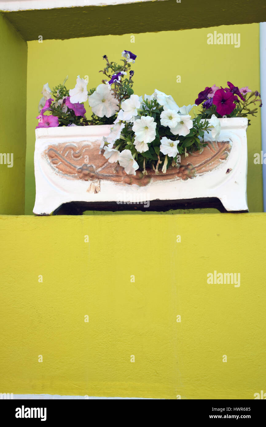 Cape town coloured house hi-res stock photography and images - Alamy