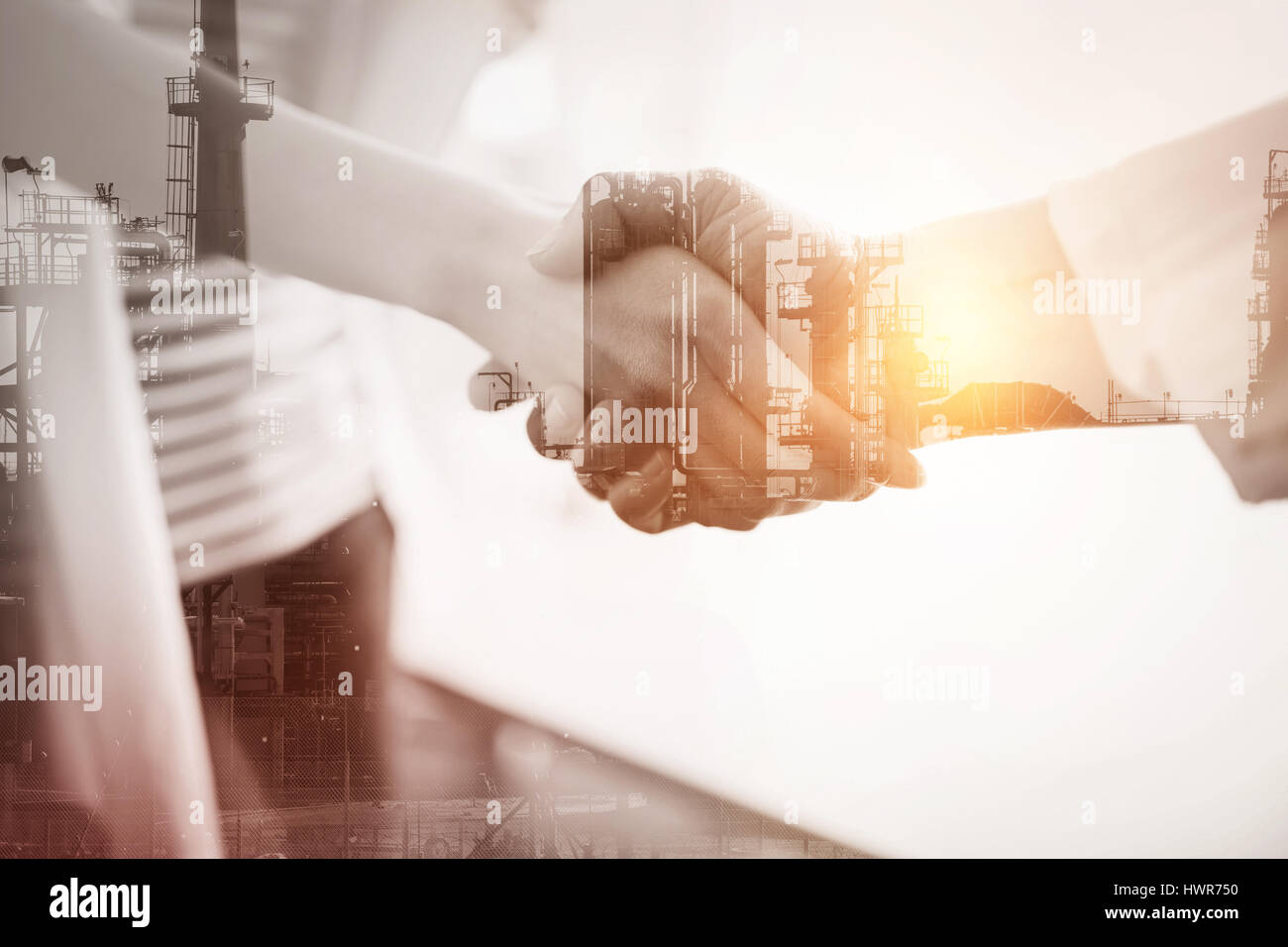 Handshake of man and woman with white background Stock Photo - Alamy