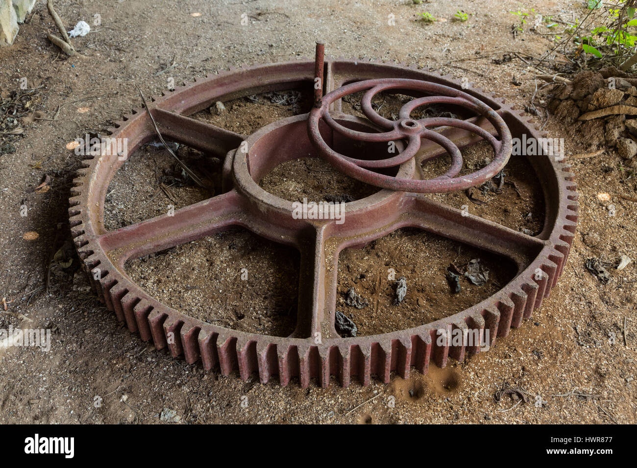 Old rusty cast-iron cog wheel at the abandoned Pepperpot Plantation ...