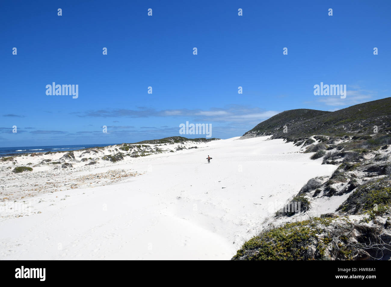 Beach near Cape Point, Western Cape, South Africa Stock Photo - Alamy
