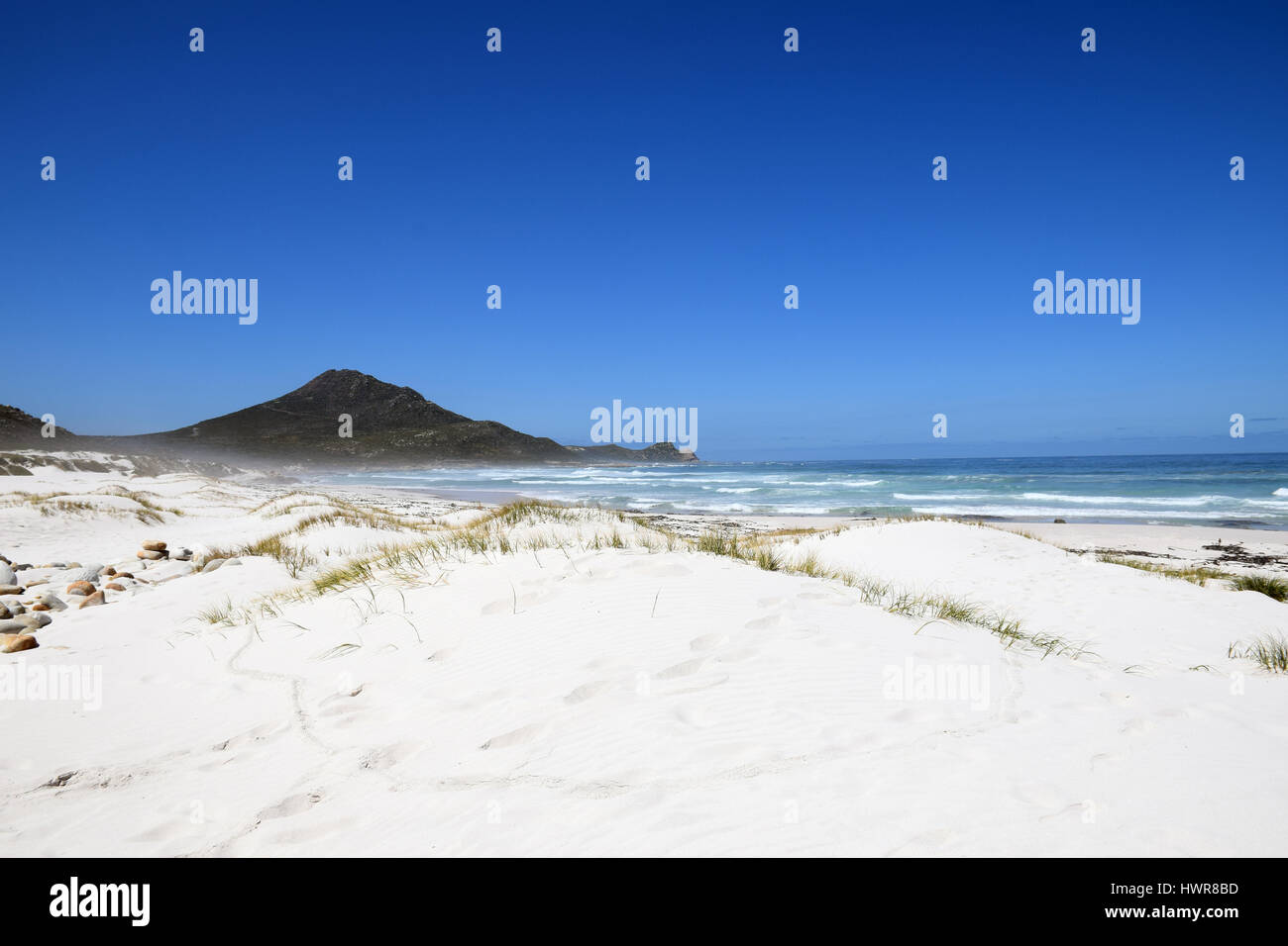 Beach near Cape Point, Western Cape, South Africa Stock Photo - Alamy
