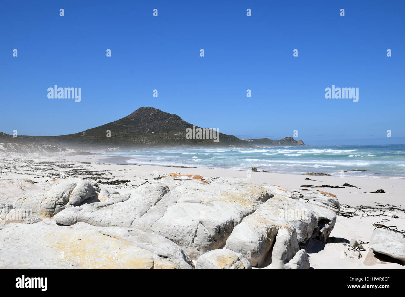 Beach near Cape Point, Western Cape, South Africa Stock Photo - Alamy