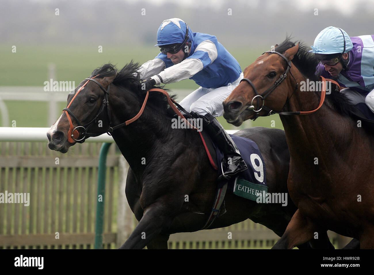 HURRICANE ALAN & NORSE DANCER RIDDEN BY P.DODDS & J.F.EGAN NEWMARKET ...