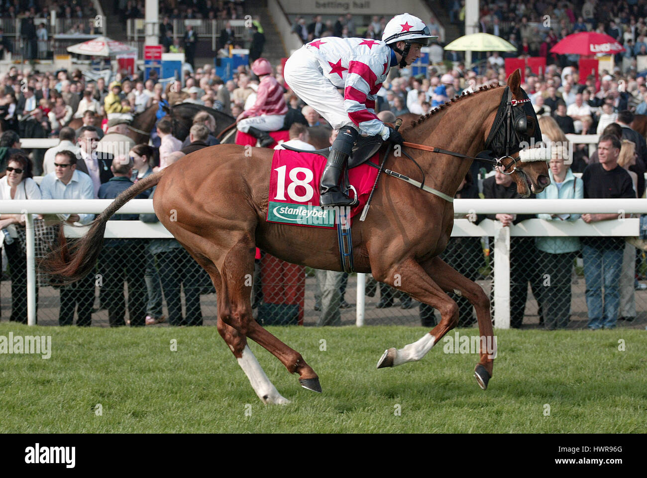 Rocket horse hi-res stock photography and images - Alamy