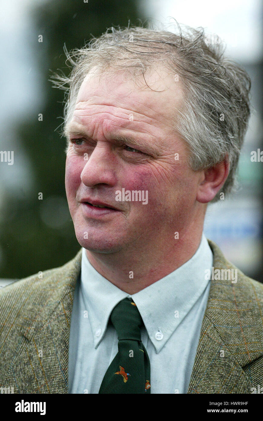 Colin tizzard trainer hi-res stock photography and images - Alamy