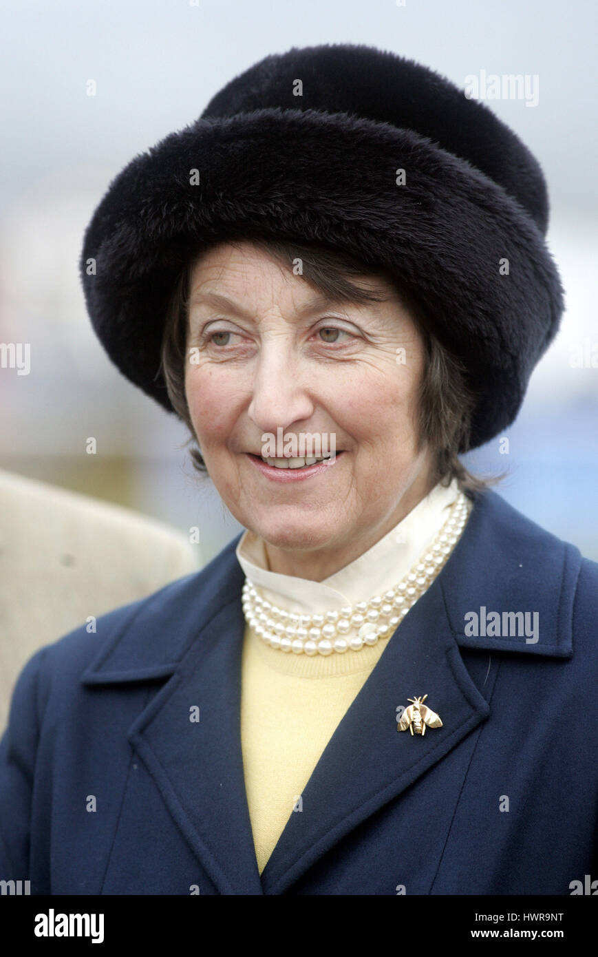 Trainer henrietta knight at cheltenham racecourse hi-res stock ...
