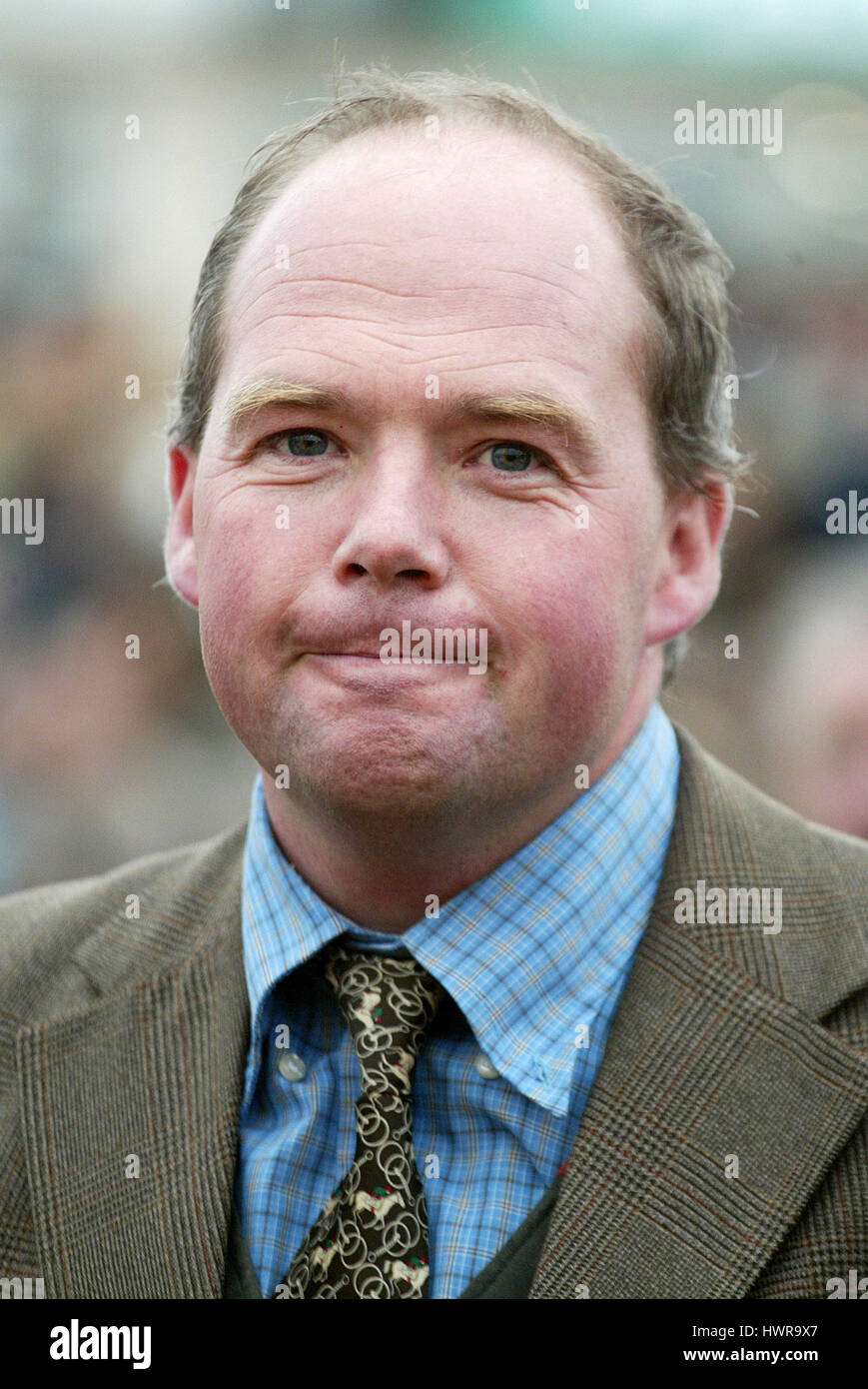 MATTHEW SHEPPARD RACE HORSE TRAINER CHELTENHAM RACECOURSE CHELTENHAM 12 ...