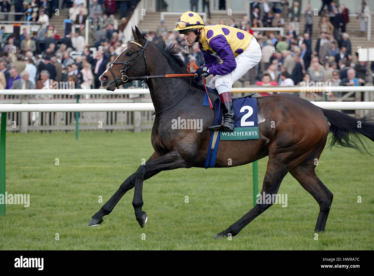 EASTERN BREEZE RIDDEN BY PAUL EDDERY NEWMARKET RACECOURSE NEWMARKET 14 ...