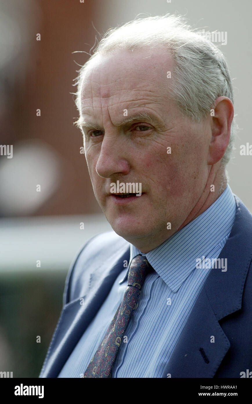 TERRY CLEMENT RACE HORSE TRAINER NEWMARKET RACECOURSE NEWMARKET 13 ...