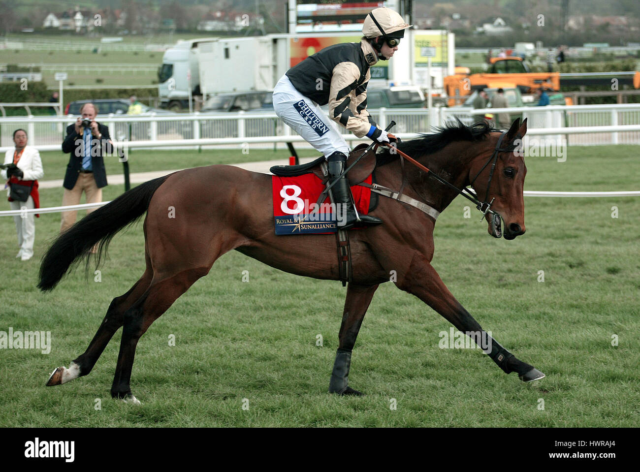 Inglis drever hi-res stock photography and images - Alamy