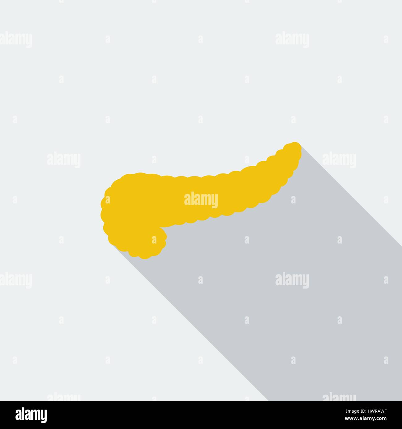 Pancreas icon. Flat vector related icon with long shadow for web and ...