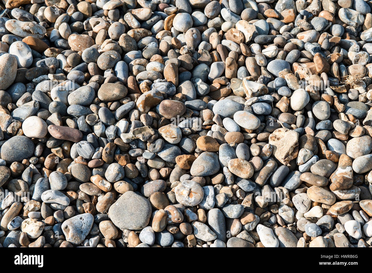 Pebbles on Beach Stock Photo - Alamy