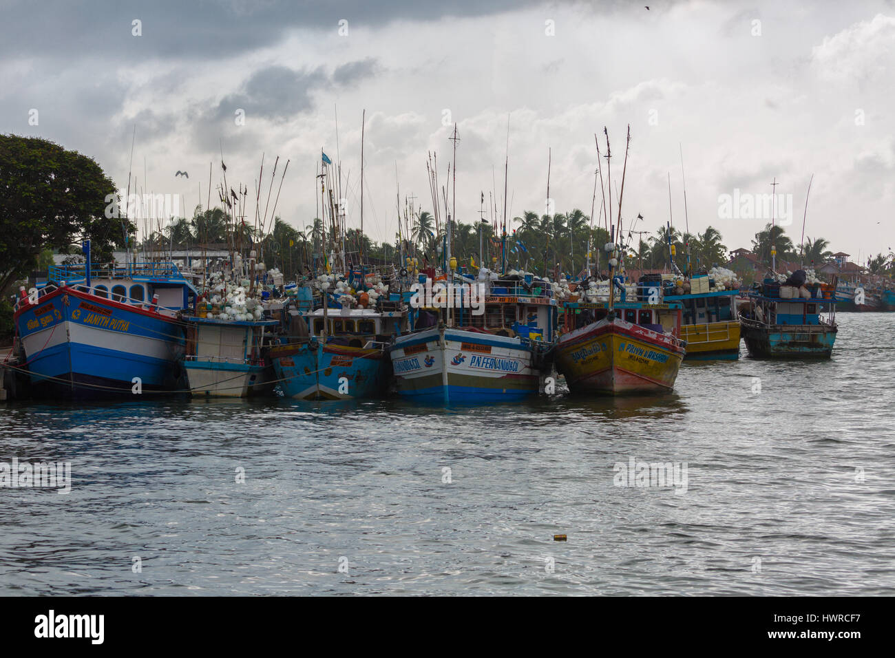 Docked fishing boats at fishing port, Negombo lagoon, Negombo, Sri ...