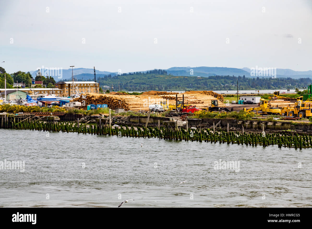 Logging and shipping operation on the coast of Oregon near Astoria ...