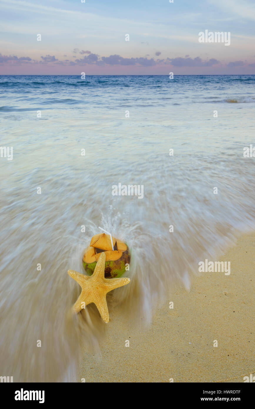 Collection of starfish hi-res stock photography and images - Alamy