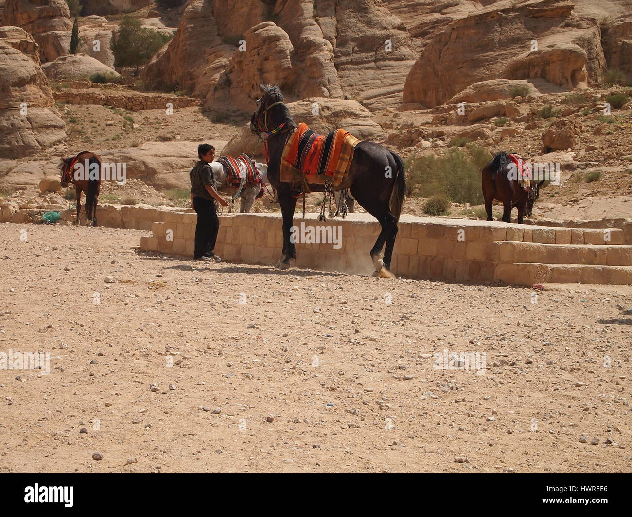 Petra archaeological water hi-res stock photography and images - Alamy