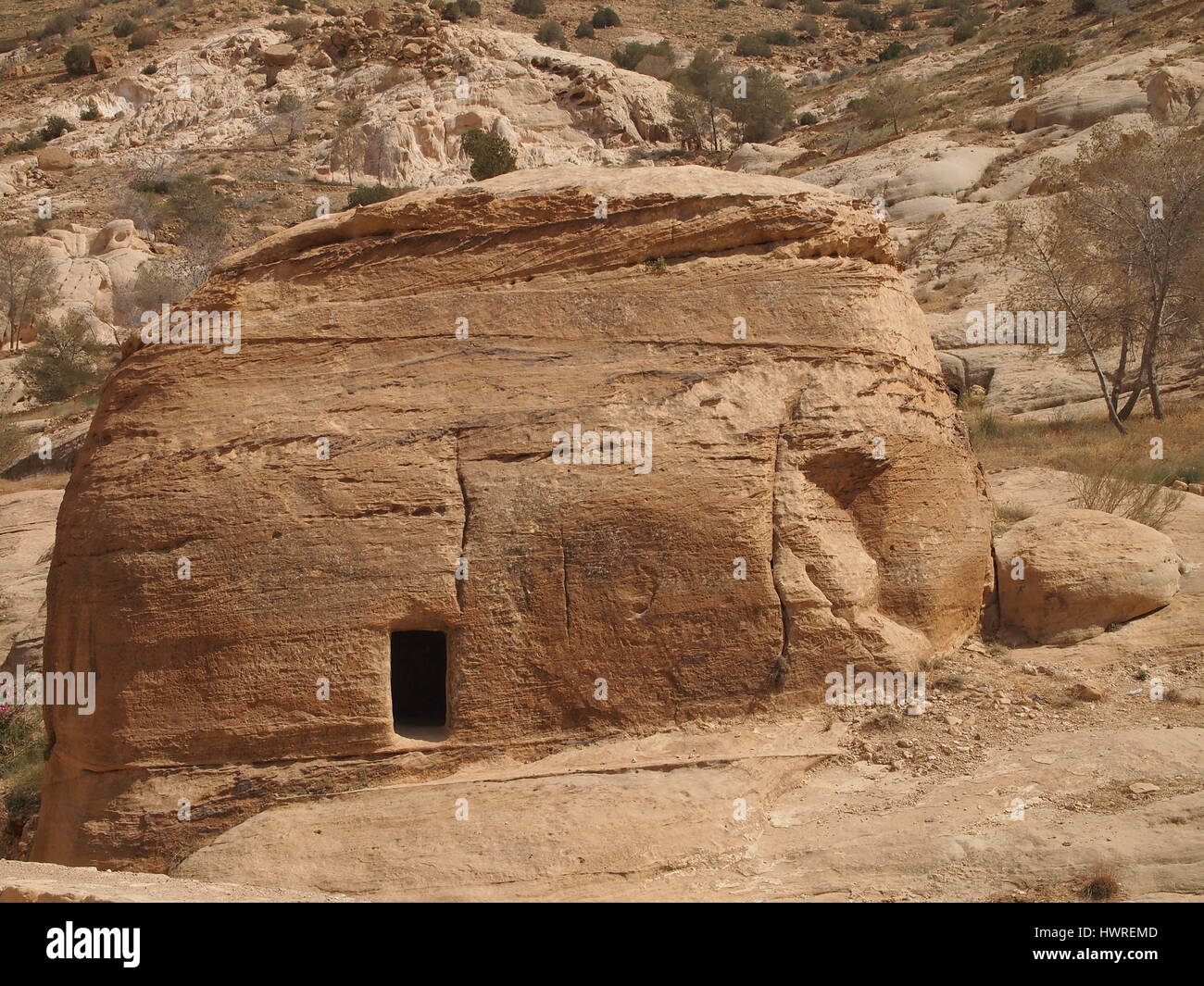 Petra archaeological park a hi-res stock photography and images - Alamy
