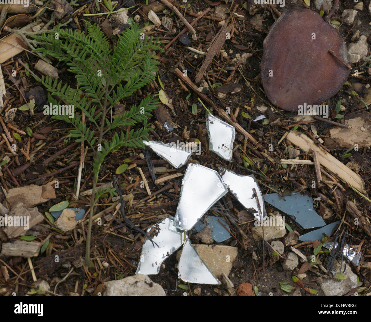 Beautiful a mirror hi-res stock photography and images - Alamy