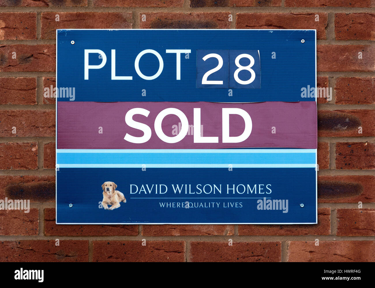David Wilson Homes plot sold sign Stock Photo - Alamy