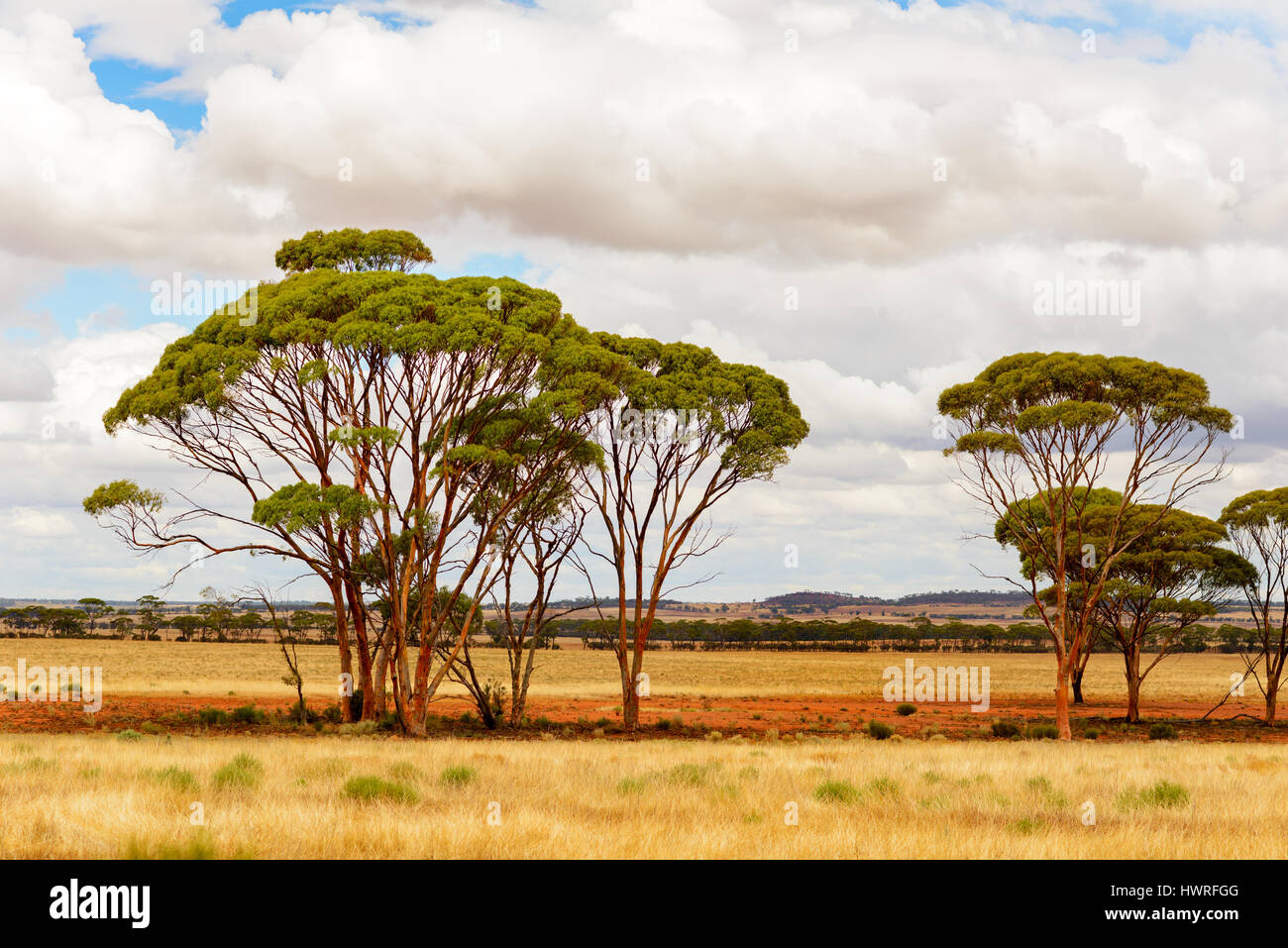 Australia outback farm hi-res stock photography and images - Alamy