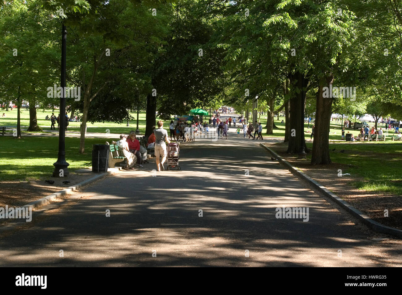 A spring evening on Boston Common, Massachusetts Stock Photo - Alamy