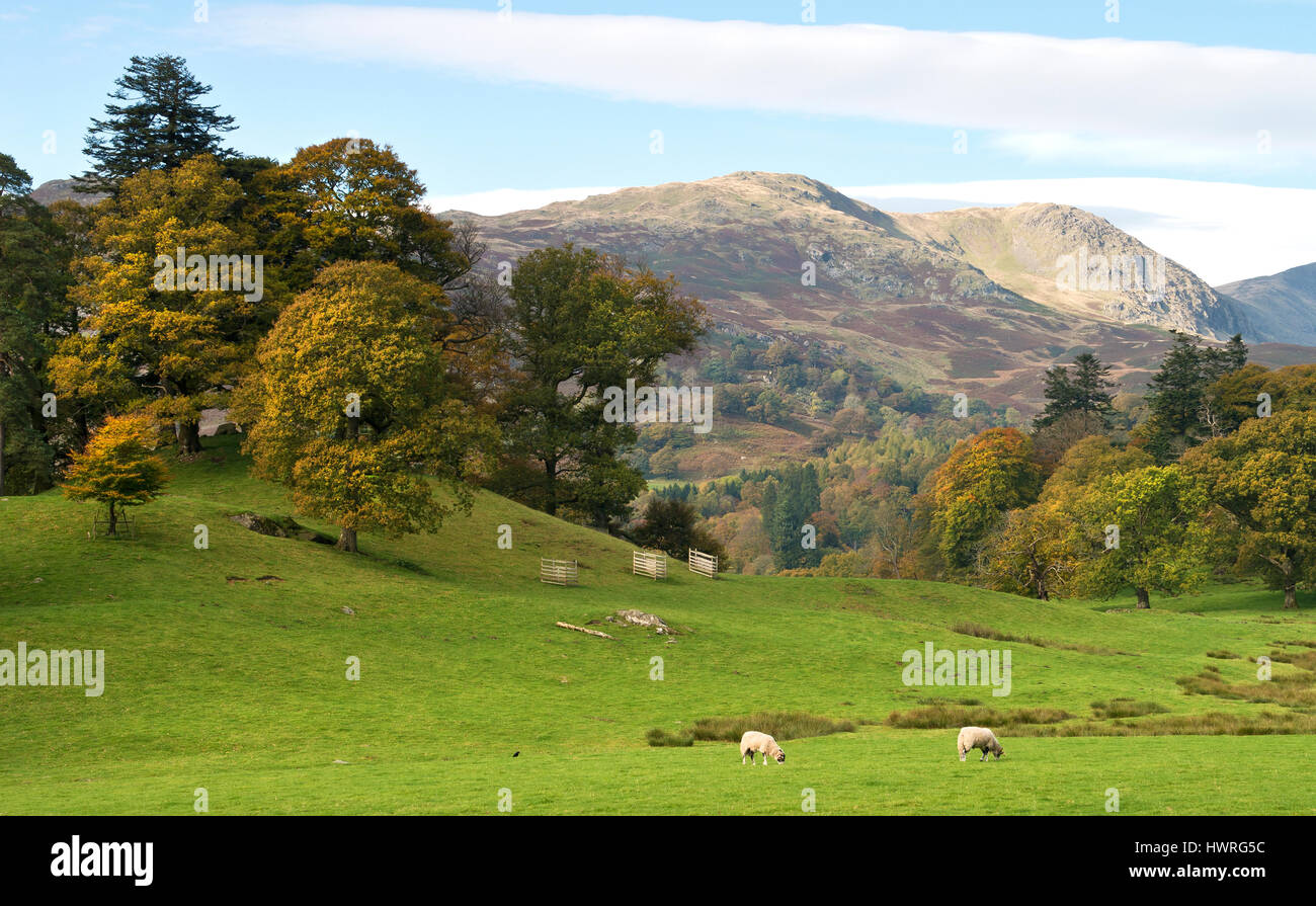 Splendor of the hills hi-res stock photography and images - Alamy