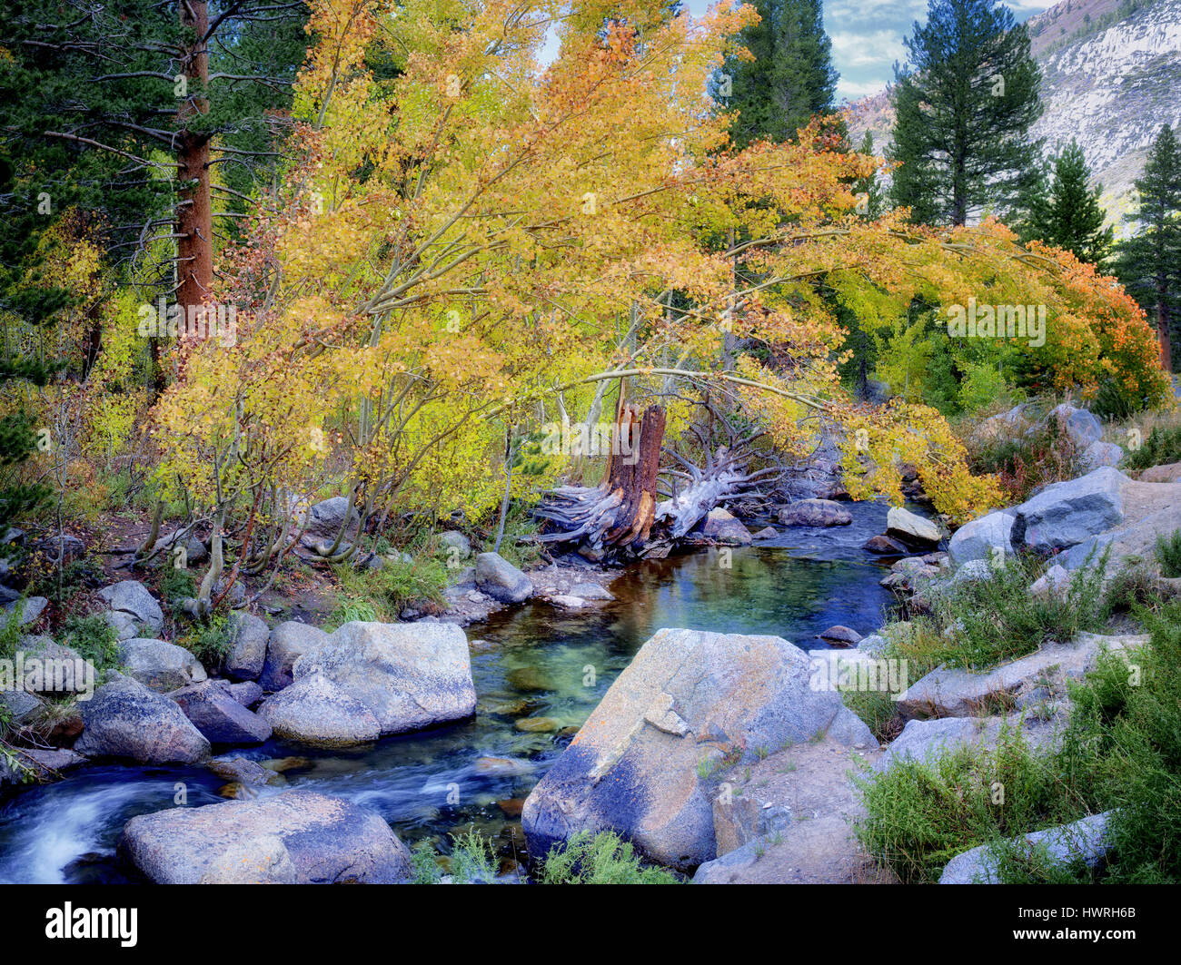 Aspen river hi-res stock photography and images - Alamy