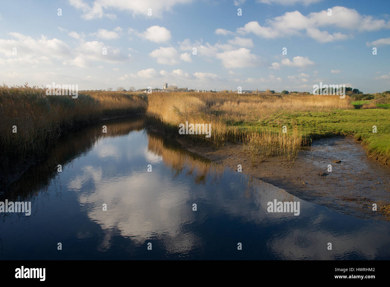 Stanpit Marsh Nature Reserve High Resolution Stock Photography and ...