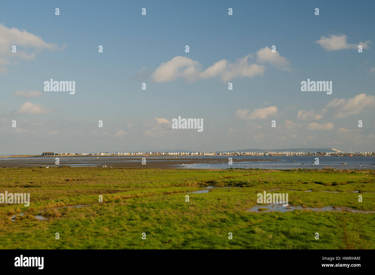 Stanpit Marsh Nature Reserve High Resolution Stock Photography and ...