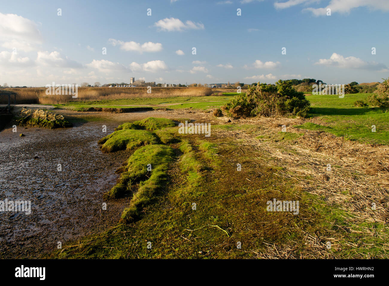 Stanpit Marsh Nature Reserve High Resolution Stock Photography and ...