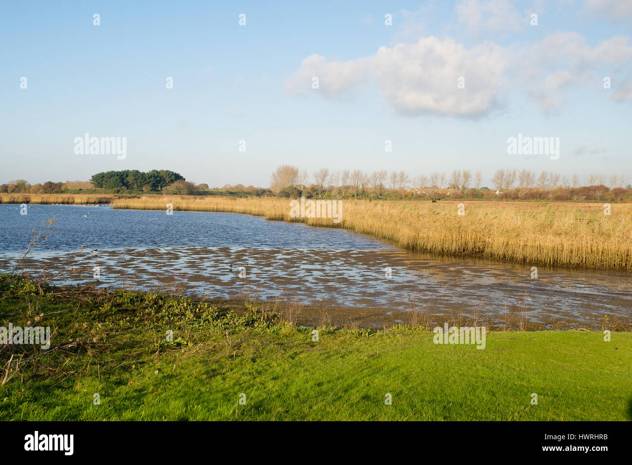 Stanpit nature reserve hi-res stock photography and images - Alamy