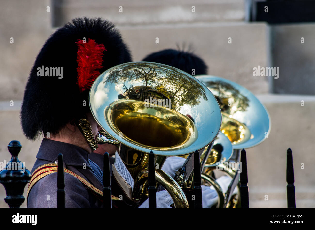 A musician of Royal Band performing his instrument during a parade in ...
