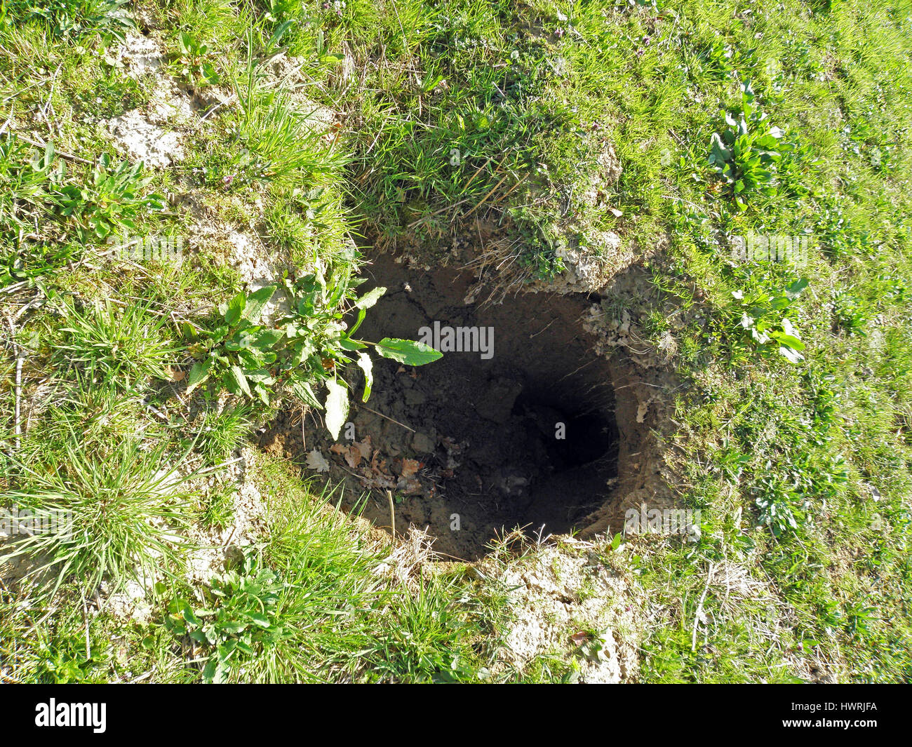 Fox hole hi-res stock photography and images - Alamy
