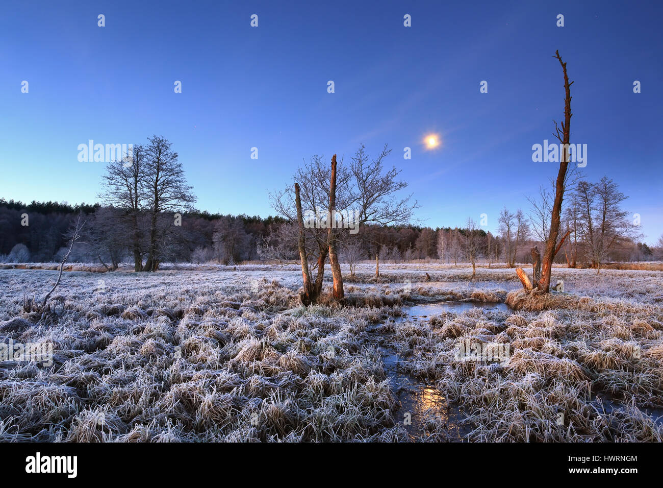 Dark purple stars background hi-res stock photography and images - Alamy