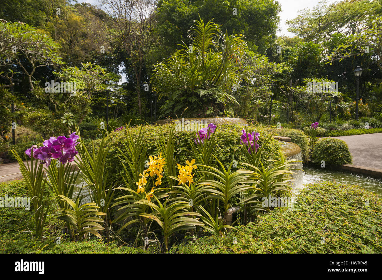 Singapore, Botanic Gardens, water feature Stock Photo - Alamy