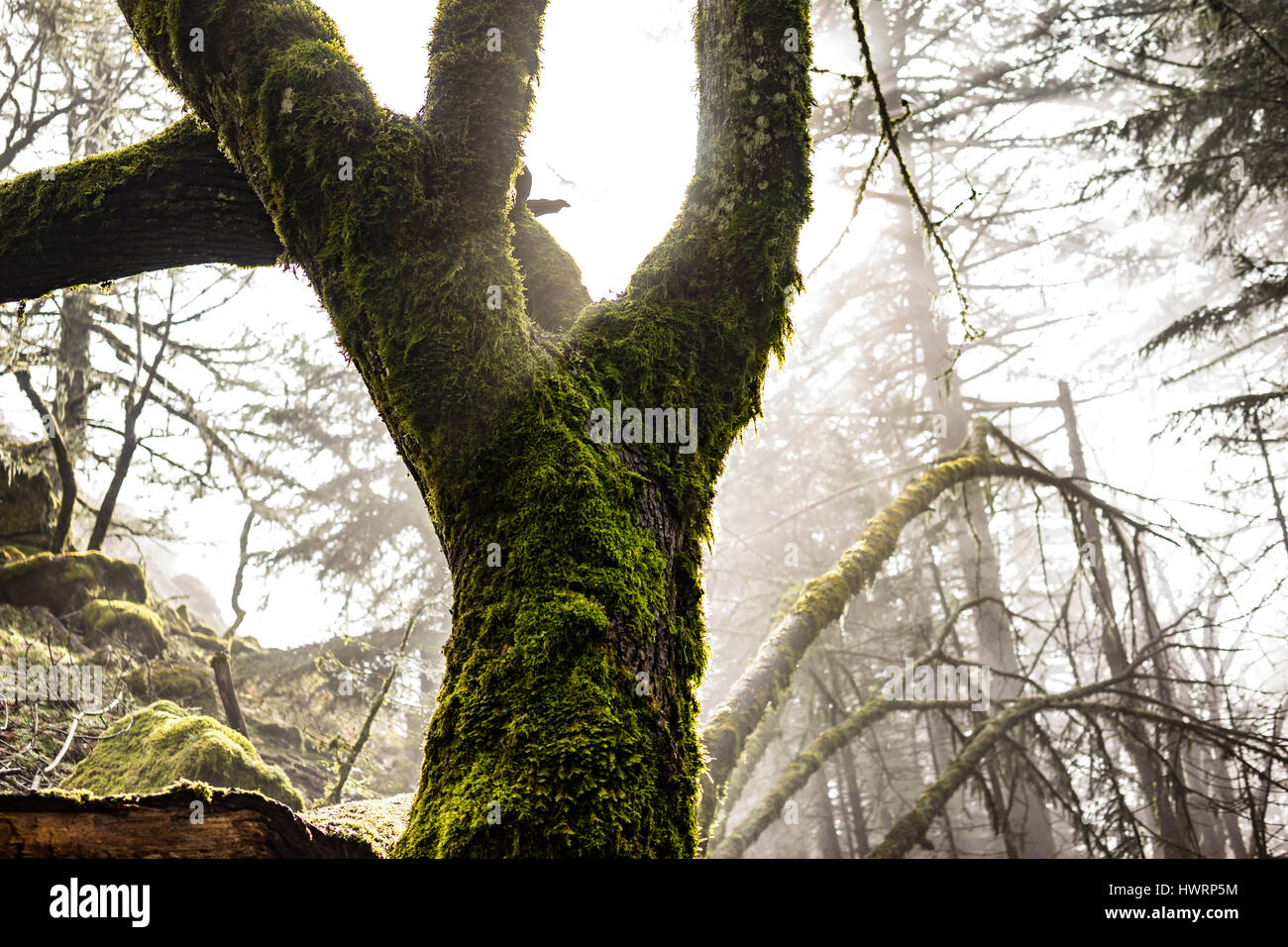 Soft ambient light hi-res stock photography and images - Alamy