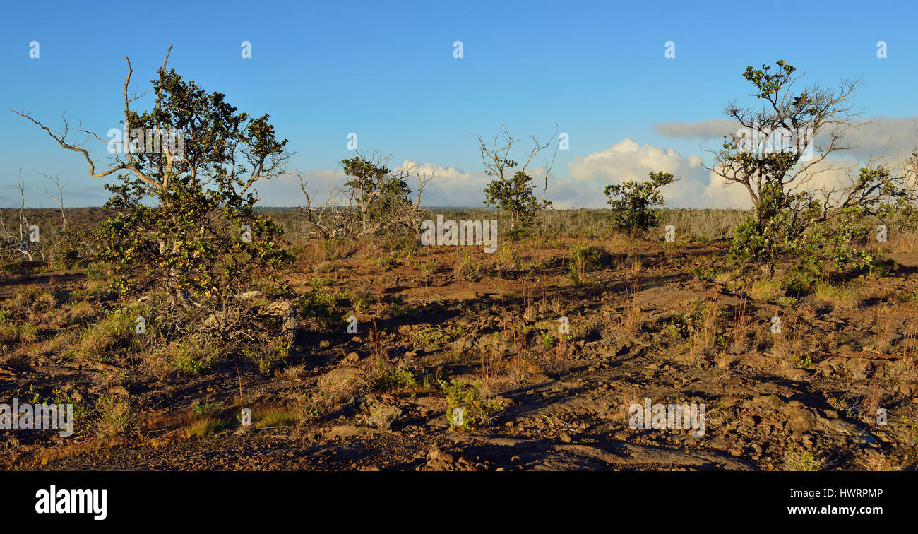 Old volcano and hawaii hi-res stock photography and images - Alamy